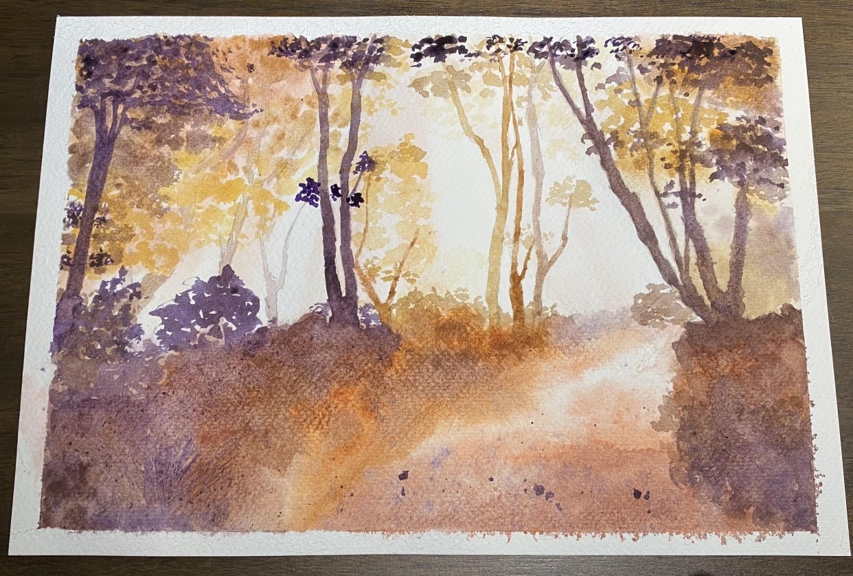 Light in the forest | Skillshare Student Project