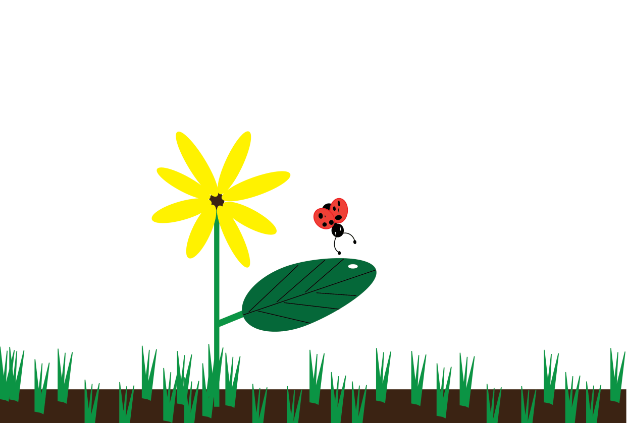 LADY BIRD Skillshare Student Project
