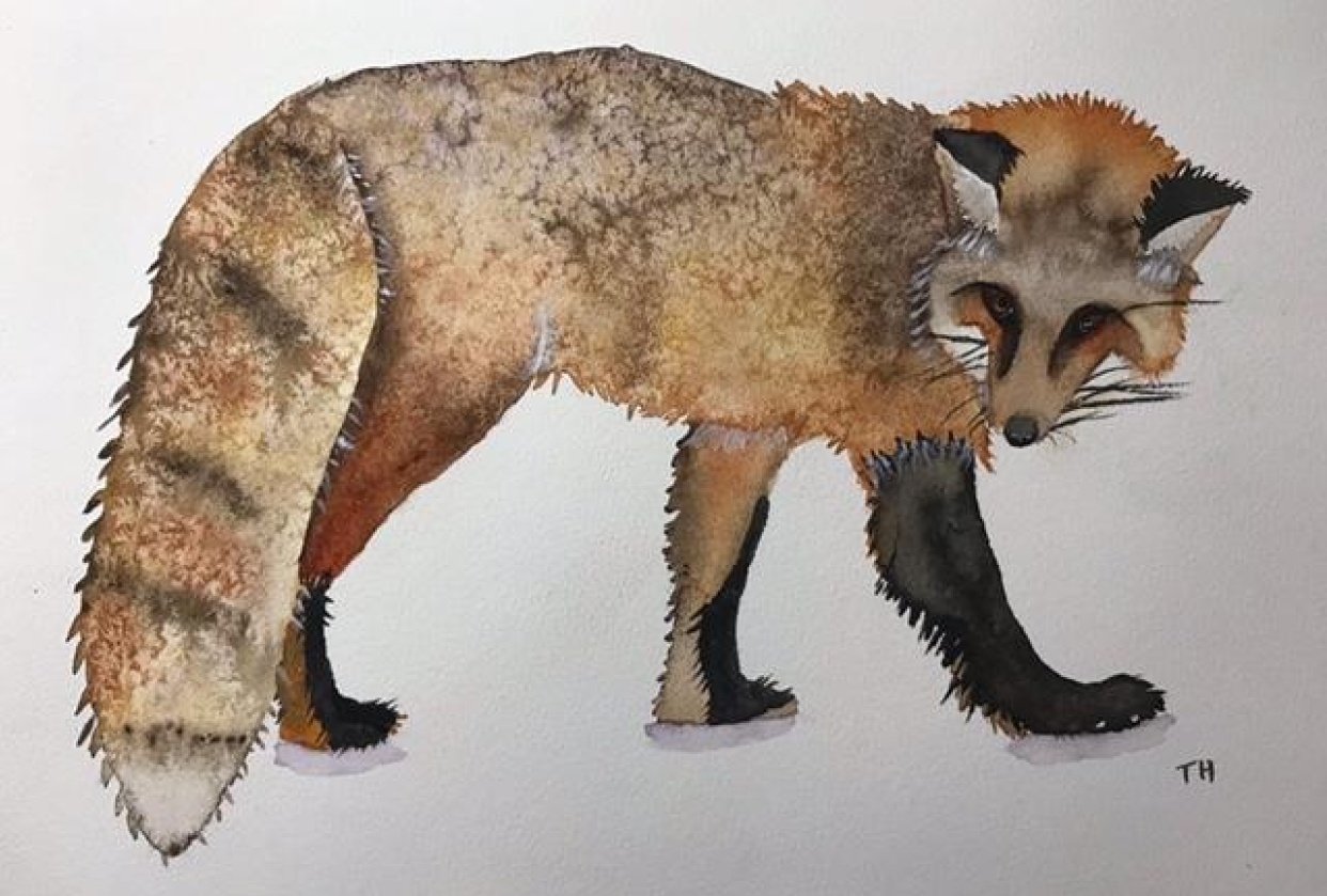 Fox Final | Skillshare Student Project