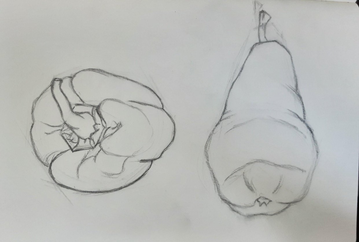 Contours class progression | Skillshare Student Project