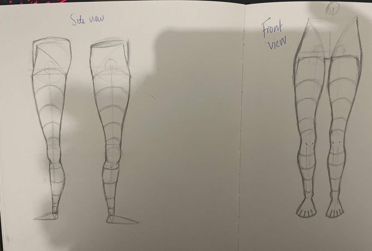 Basic leg view | Skillshare Student Project
