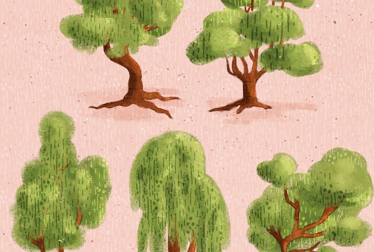 Trees | Skillshare Student Project