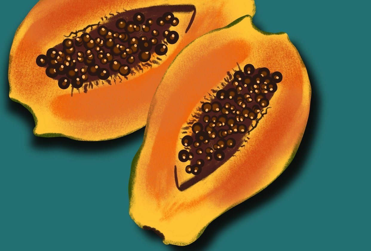 Papaya | Skillshare Student Project