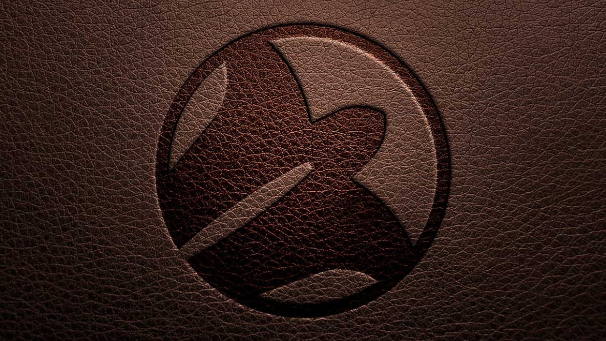 leatherback mark | Skillshare Student Project