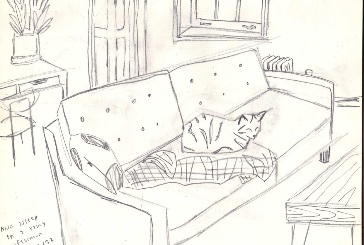 30 Days of Drawing from Life | Skillshare Student Project