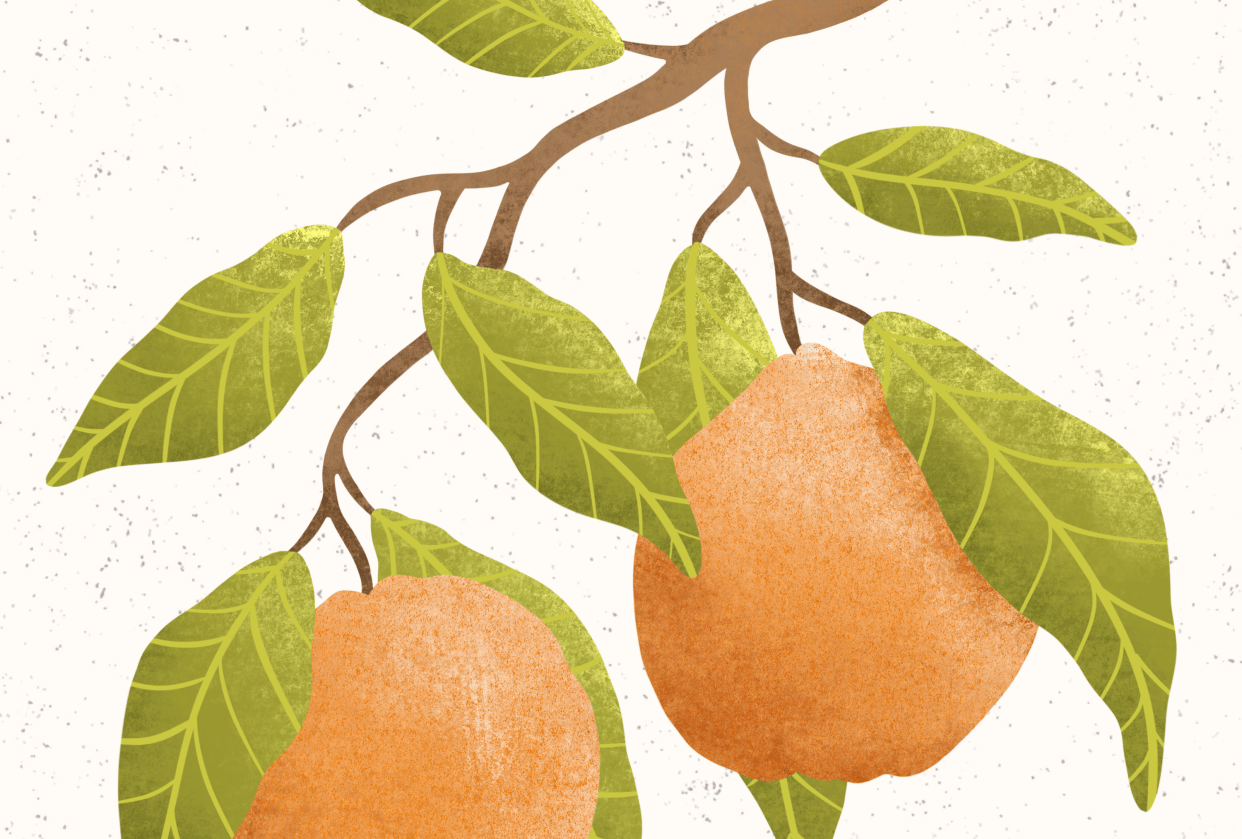 Vintage orange | Skillshare Student Project