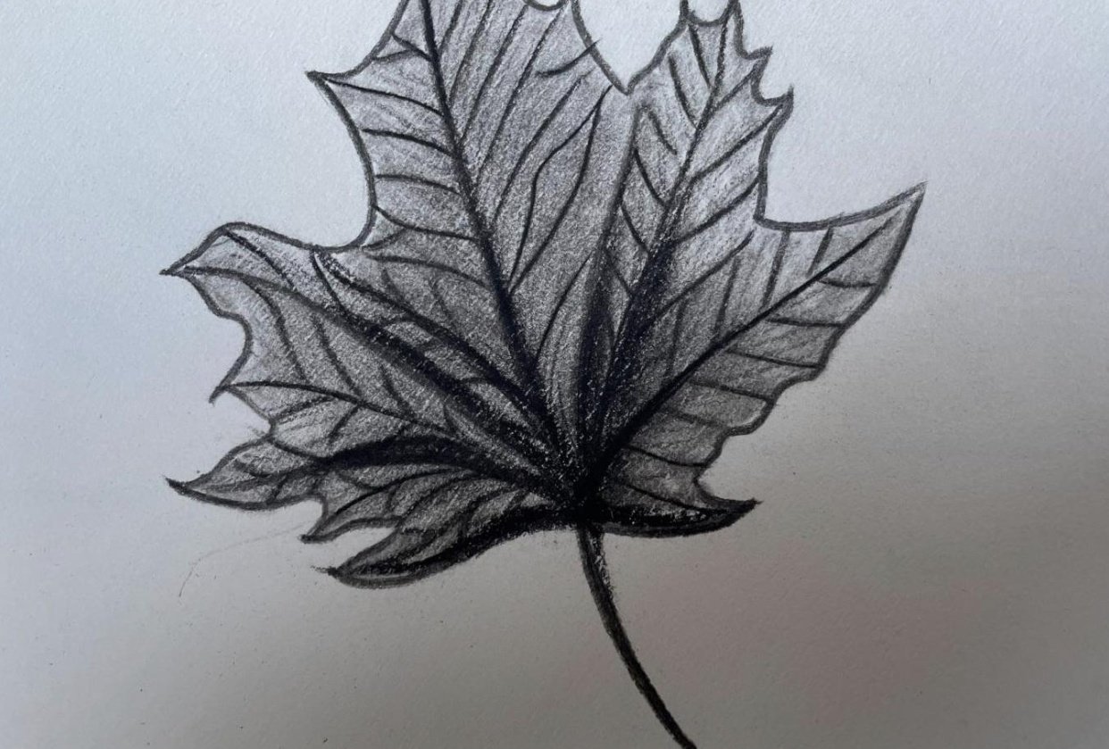 Charcoal leaf | Skillshare Student Project