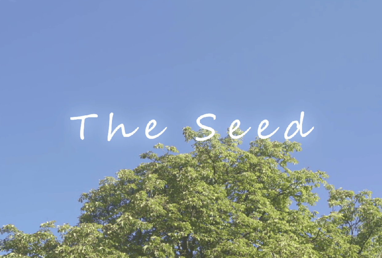 The seed... | Skillshare Student Project