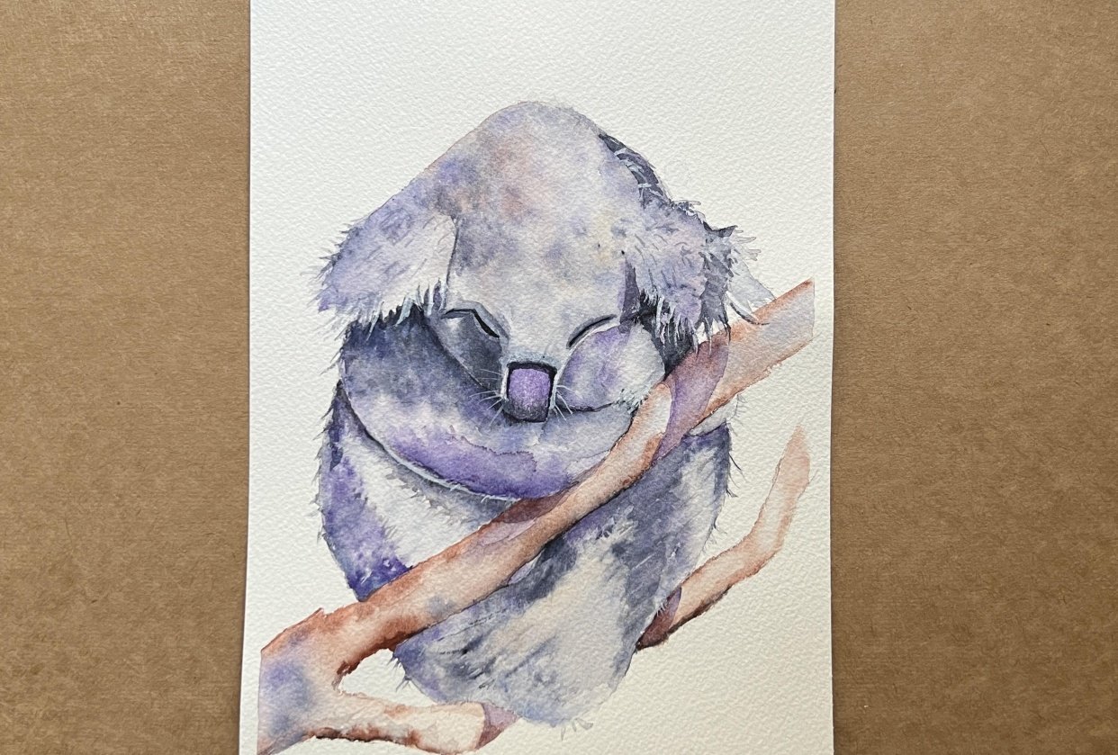 Koala | Skillshare Student Project