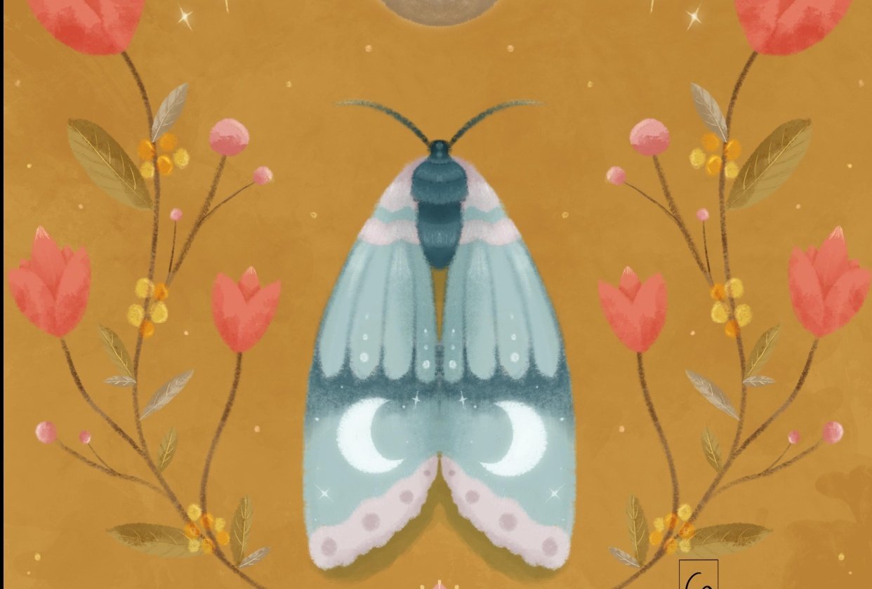 Magic Moth | Skillshare Student Project