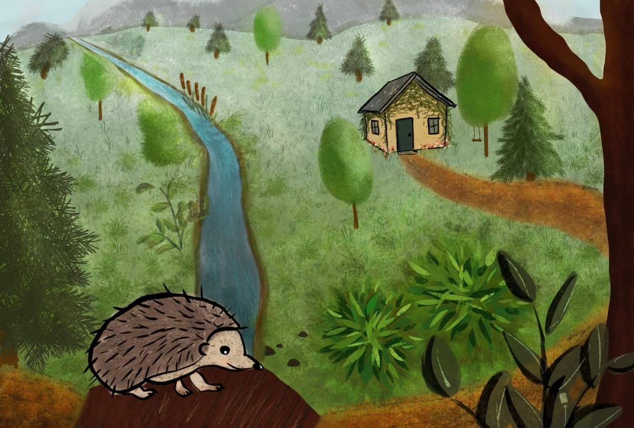 Over the river and through the woods | Skillshare Student Project