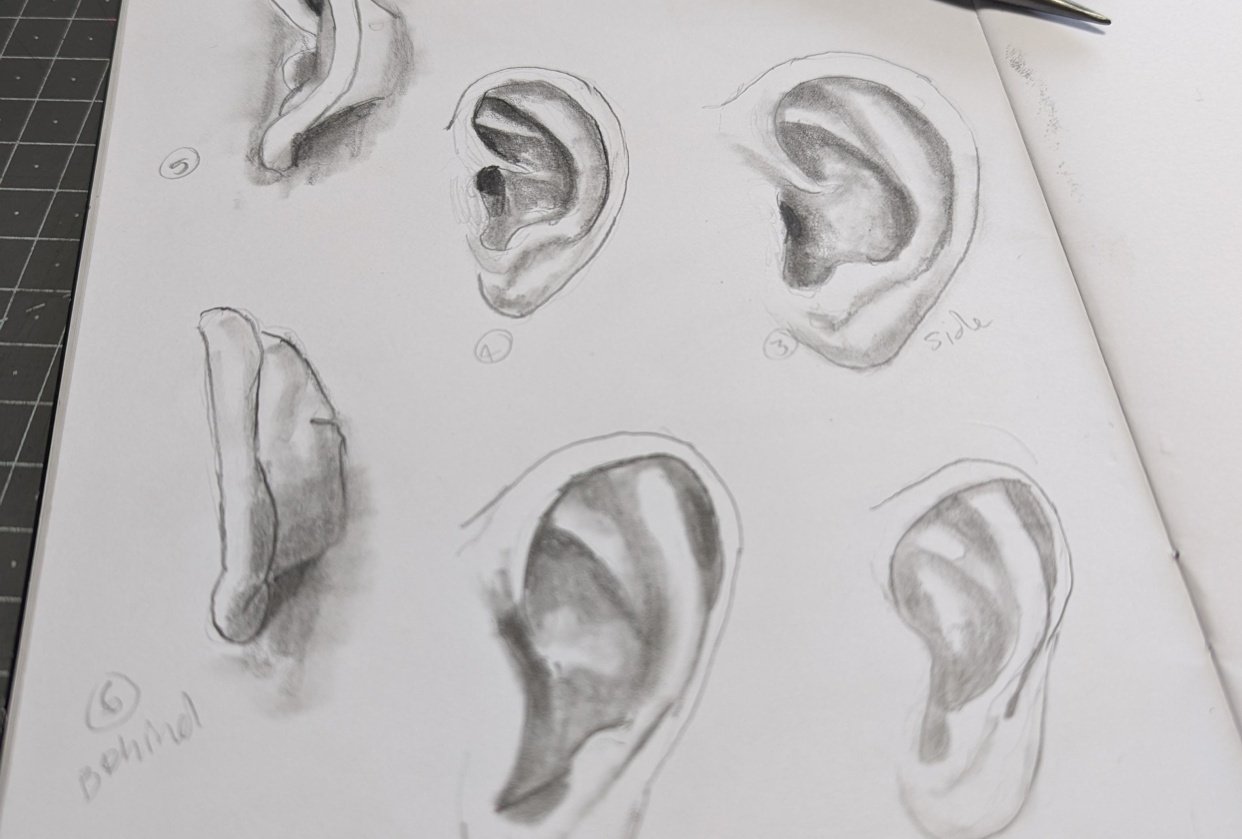 Learning to draw ears | Skillshare Student Project