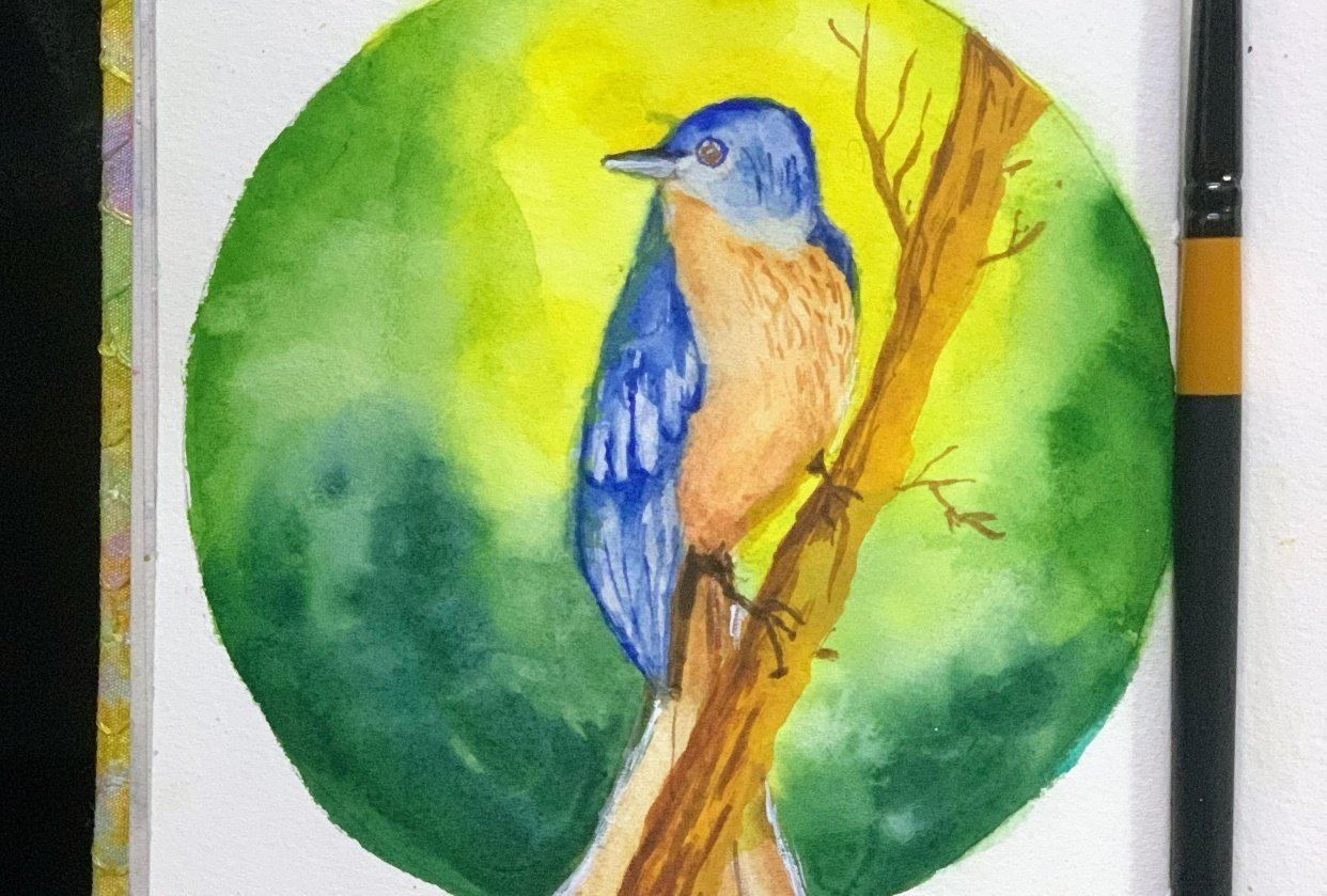 Blue Bird | Skillshare Student Project