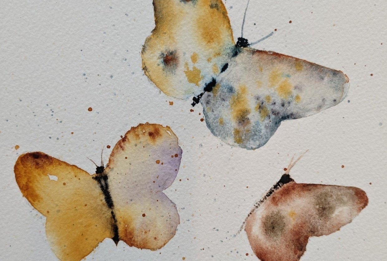 Simple Butterflies | Skillshare Student Project