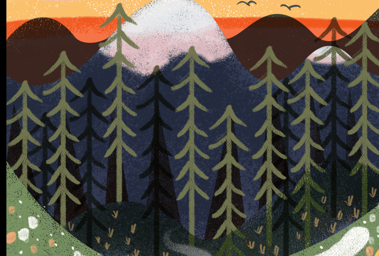 Alpine | Skillshare Student Project