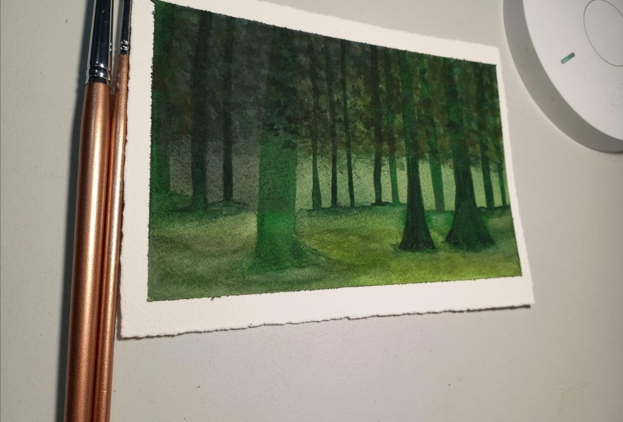 Bosque | Skillshare Student Project