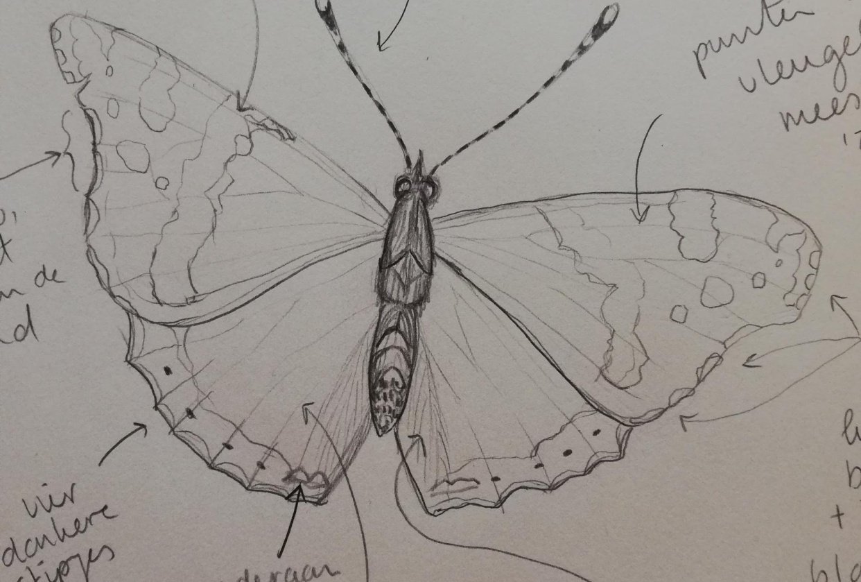 work in progress! | Skillshare Student Project