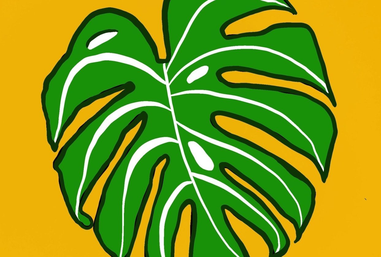 tropical leaf | Skillshare Student Project