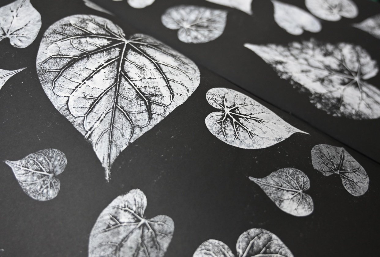 Leaf Prints On Black Paper | Skillshare Student Project