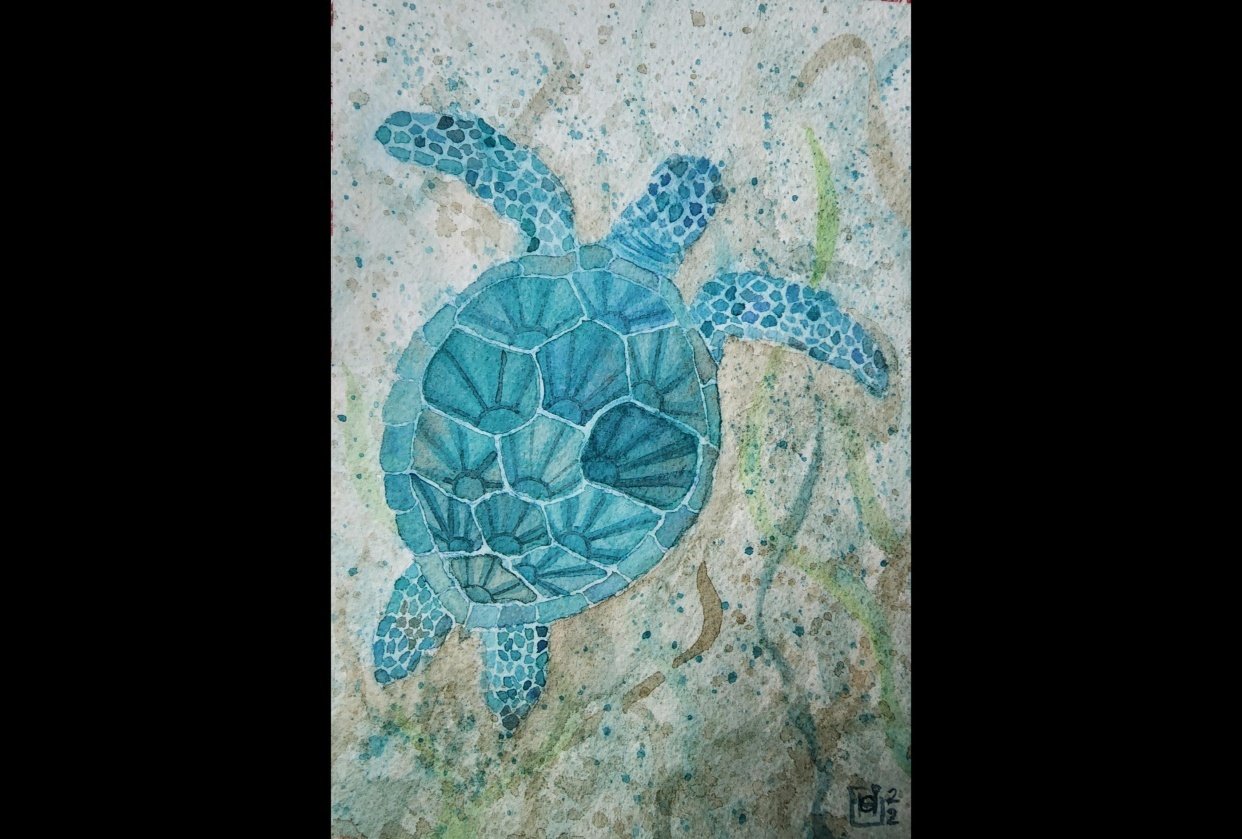 See Sea Turtle | Skillshare Student Project