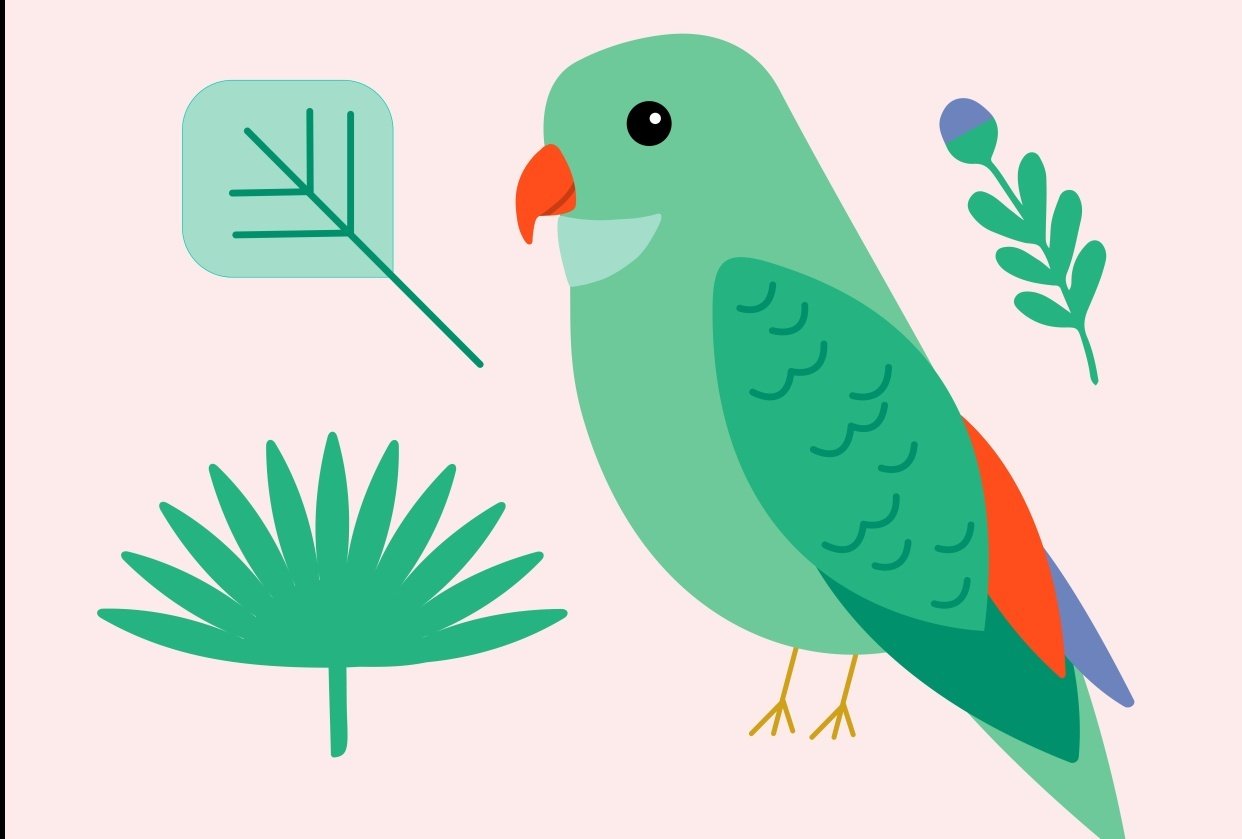 Parrot | Skillshare Student Project