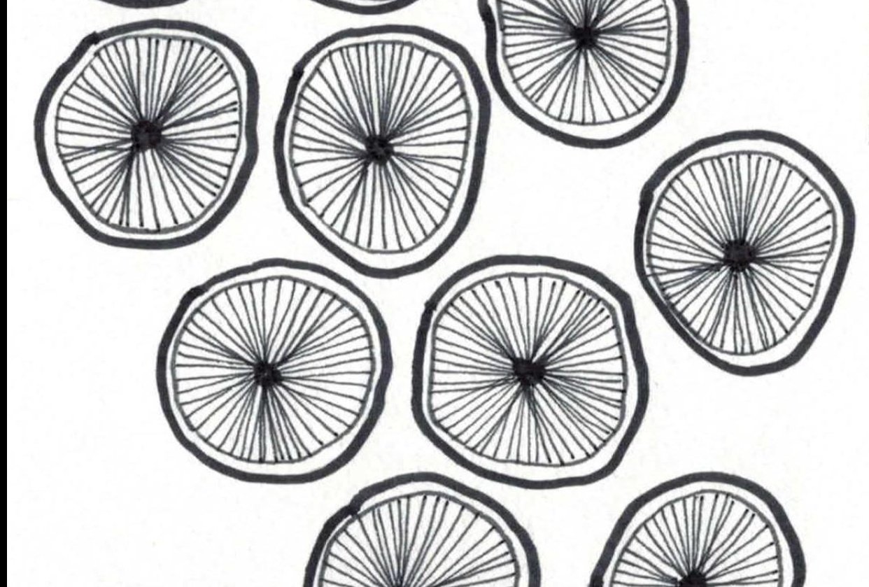 Patterns from Nature---Meditative Doodling | Skillshare Student Project