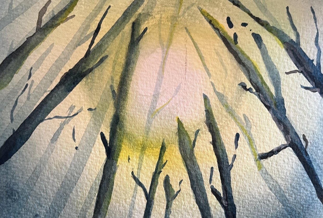 Trees | Skillshare Student Project