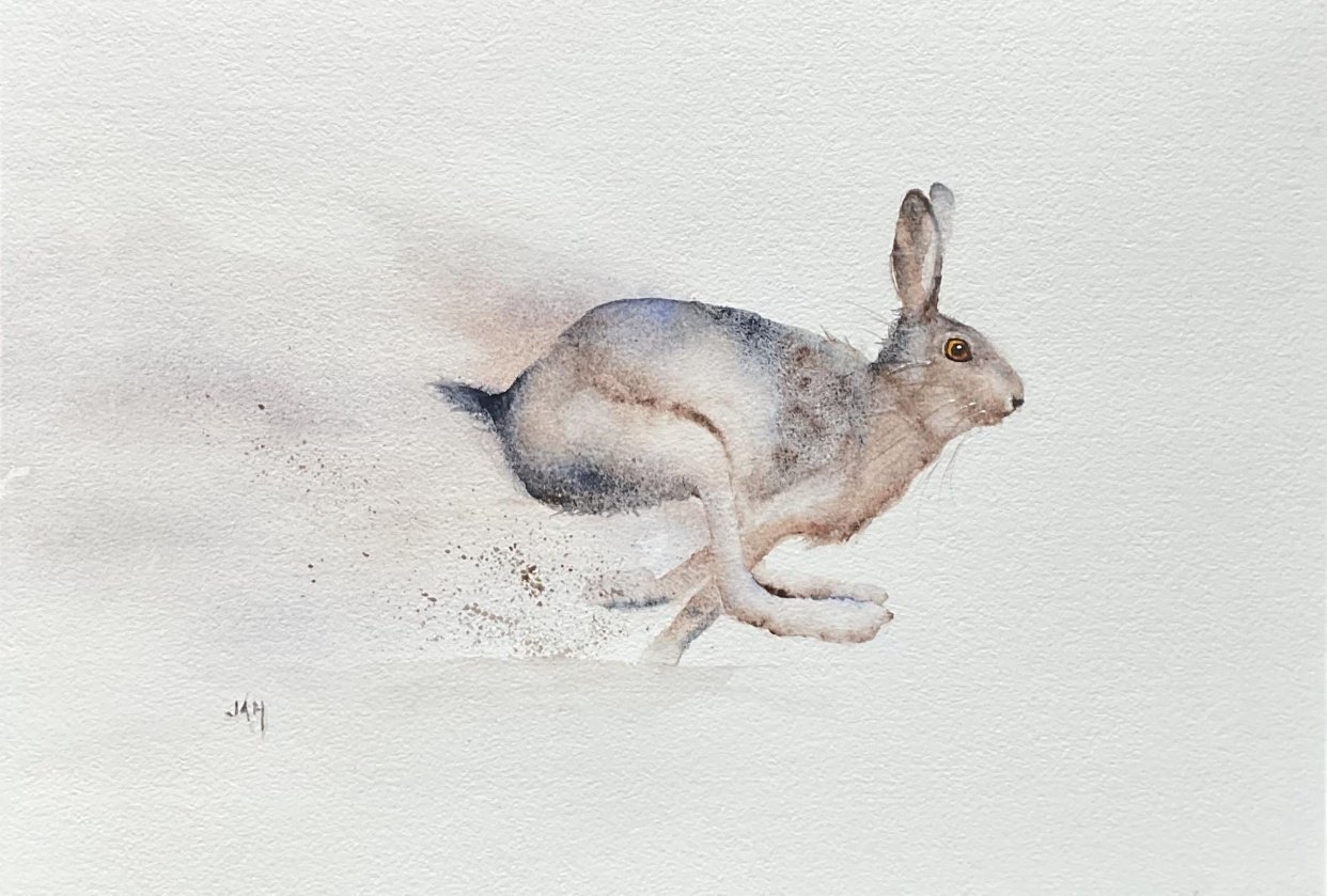 Galloping Brown Hare | Skillshare Student Project