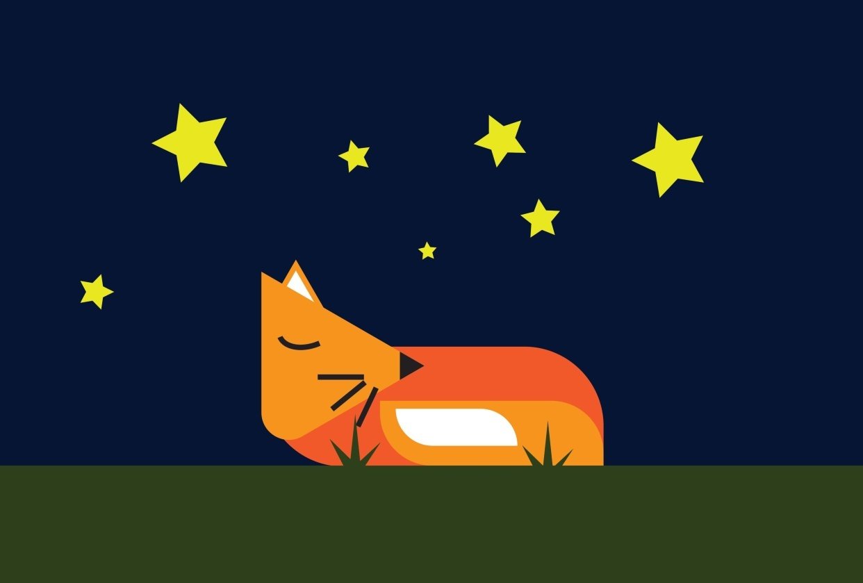 project-1-draw-in-illustrator-with-lines-and-shapes-skillshare-student-project