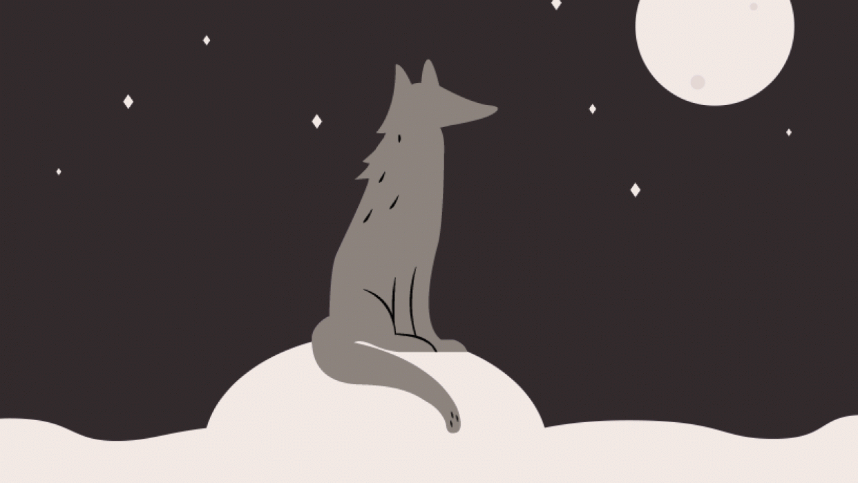 Howling Wolf | Skillshare Student Project