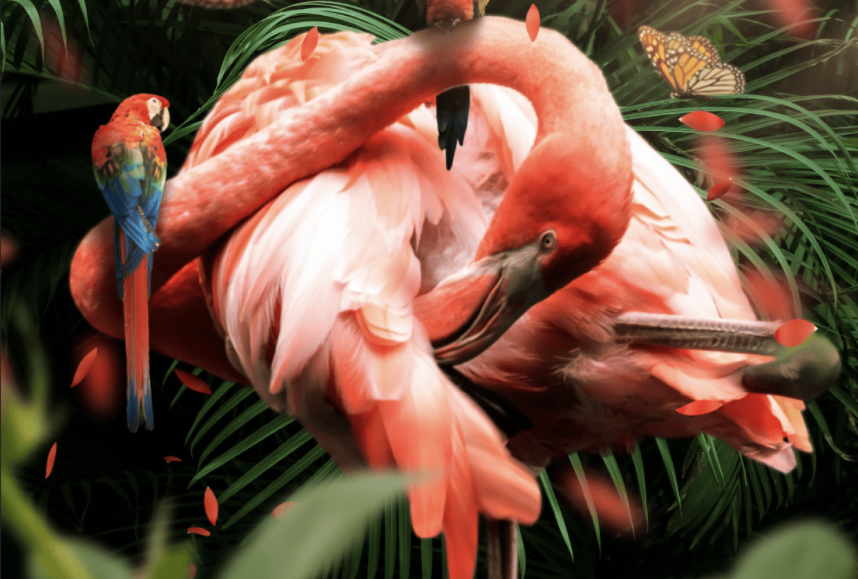 Lauren Dixon | Skillshare Student Project