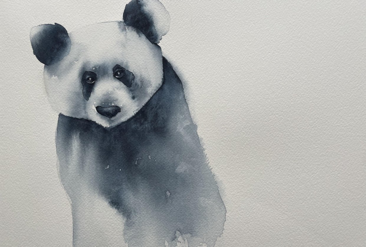 Panda | Skillshare Student Project