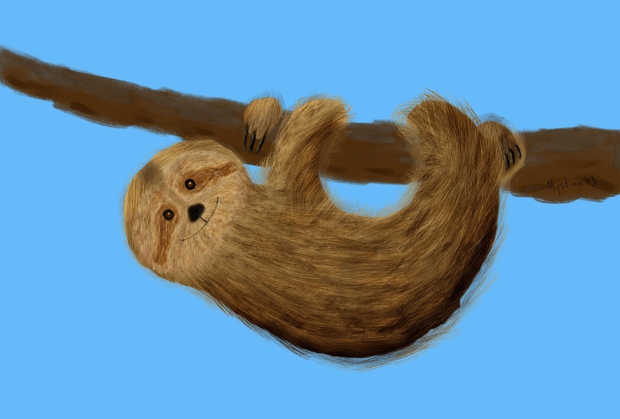 Sloth | Skillshare Student Project