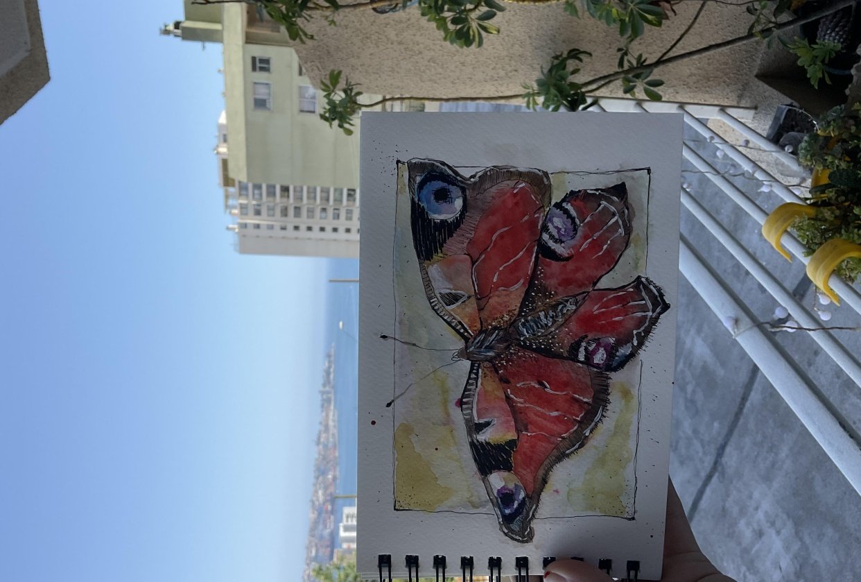 Butterfly | Skillshare Student Project
