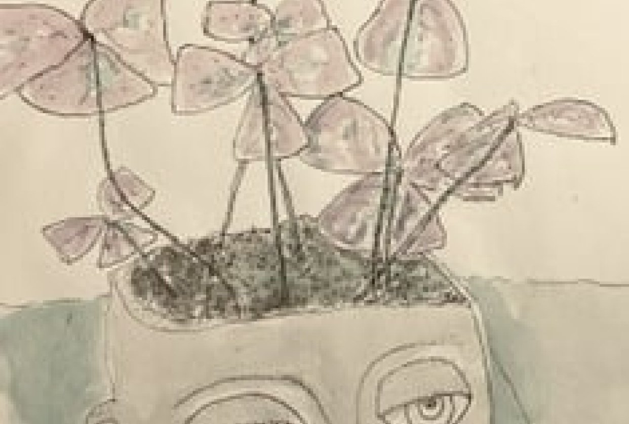 Clover Houseplant in Face Pot | Skillshare Student Project