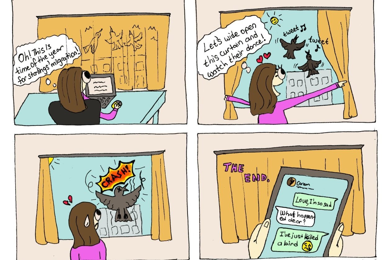 Comic Diary | Skillshare Student Project