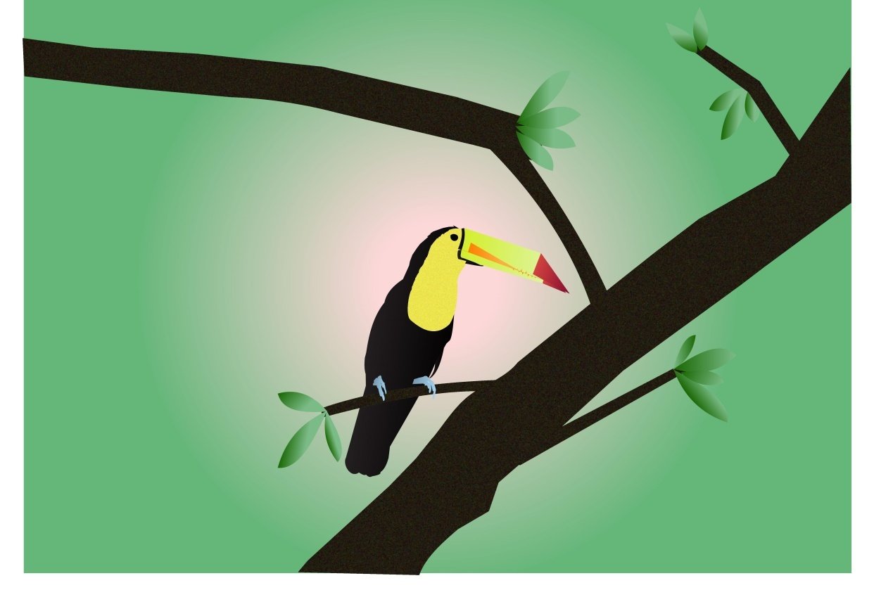 Bird | Skillshare Student Project