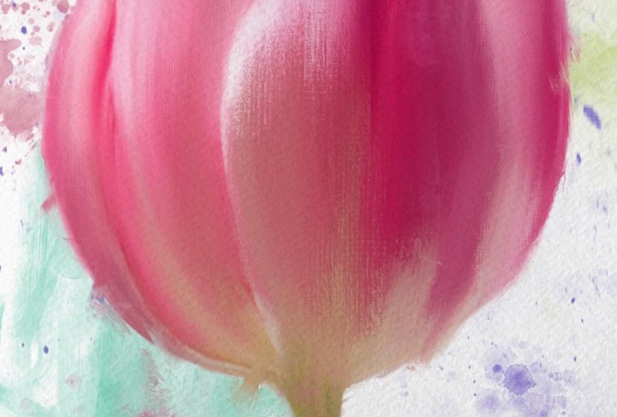 My first attempt | Skillshare Student Project