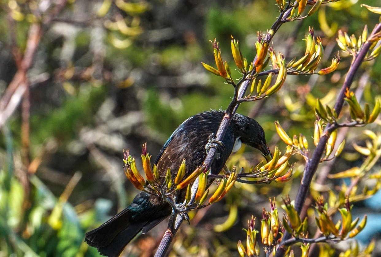 class project | Skillshare Student Project