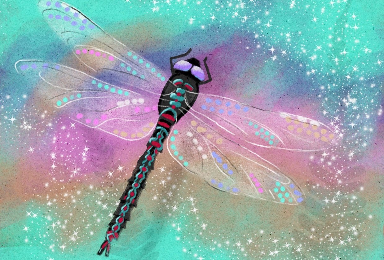 Magical Pastel Dragonfly in Procreate | Skillshare Student Project