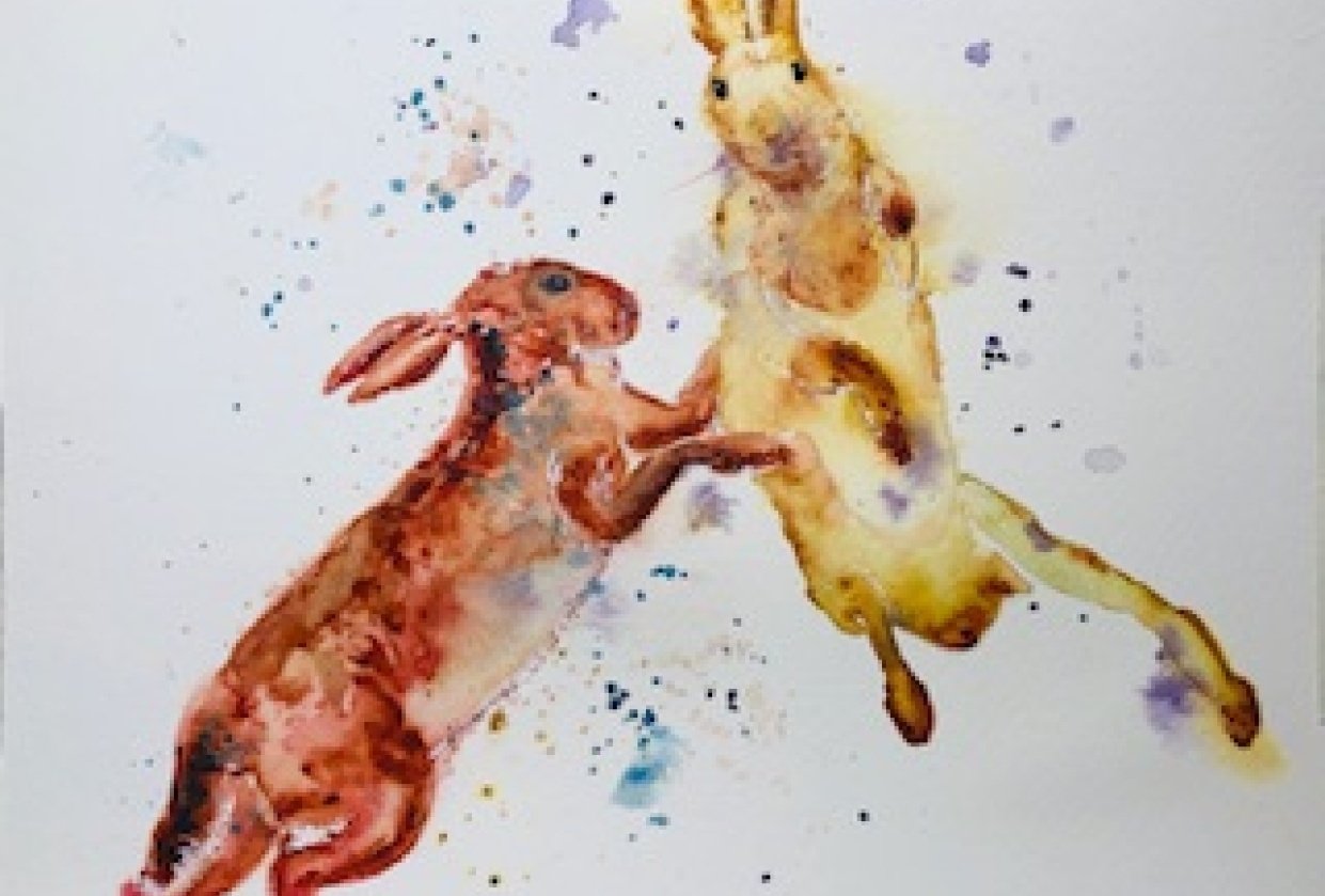 Boxing Hare | Skillshare Student Project