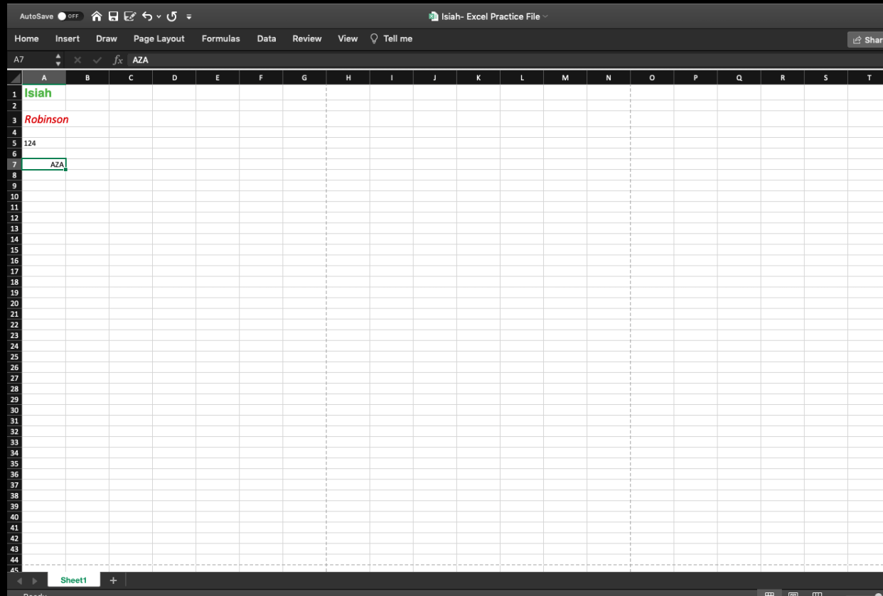 Excel Practice File 1 | Skillshare Student Project