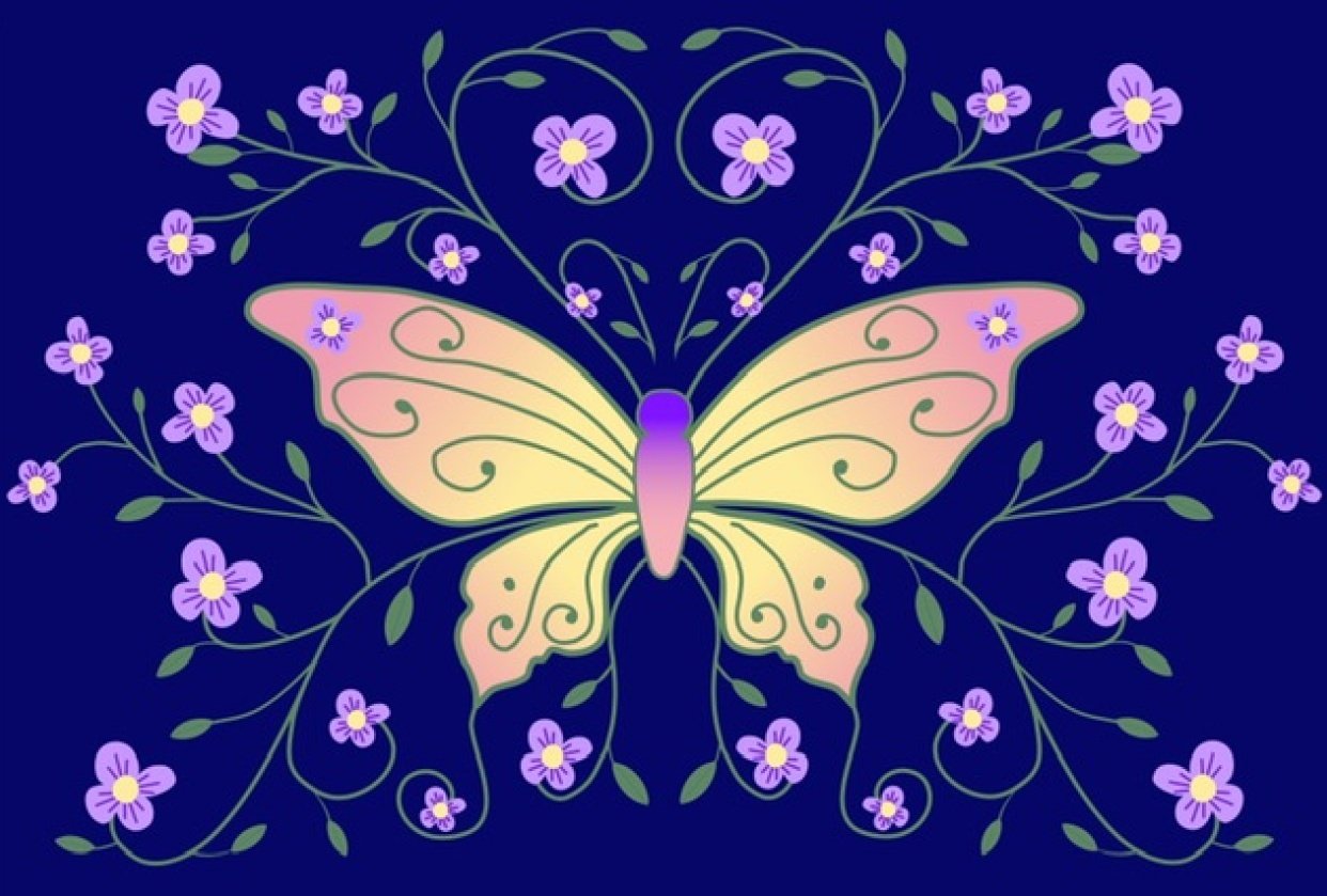 Butterfly Fantasy | Skillshare Student Project