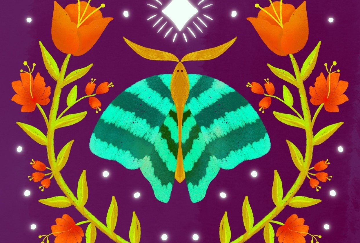 moth | Skillshare Student Project