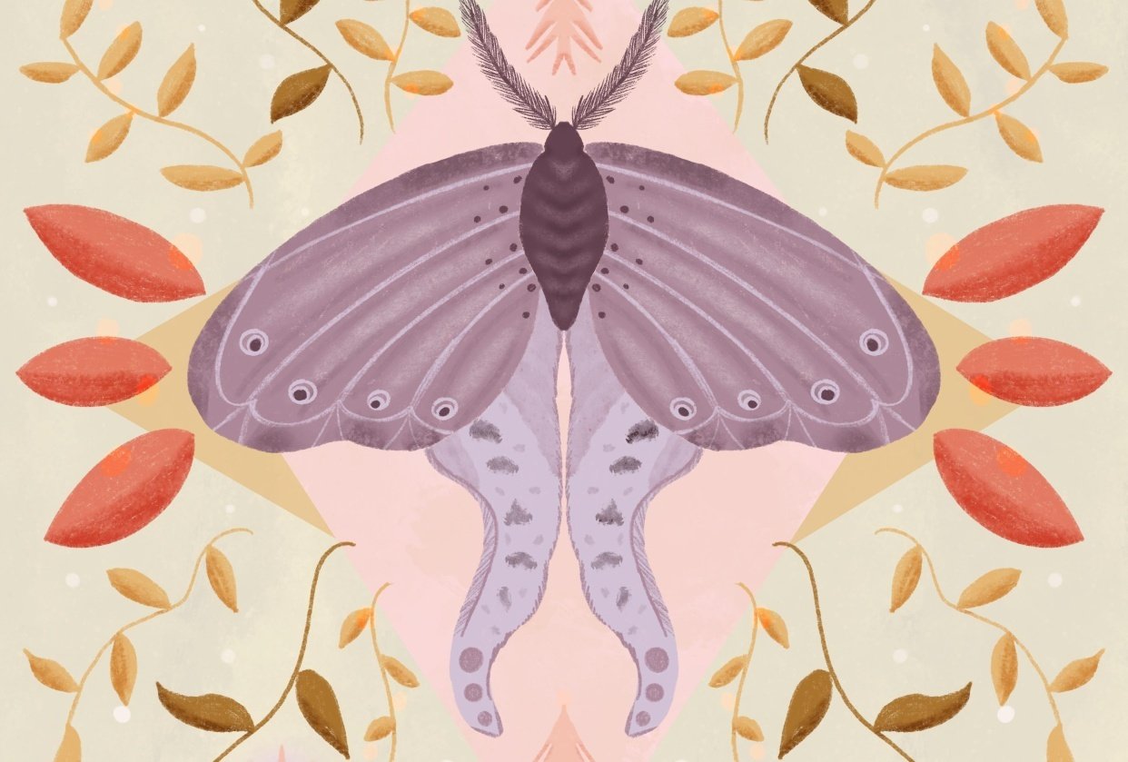 Magical moth | Skillshare Student Project
