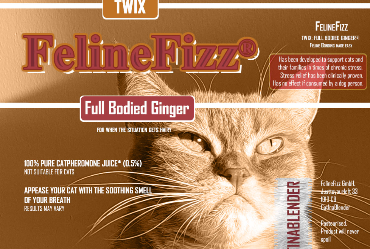 Feline Fizz add | Skillshare Student Project