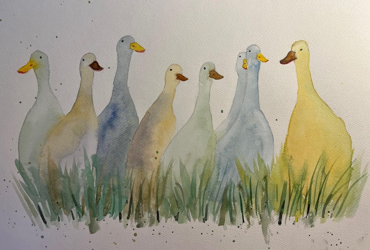 Watercolour runner ducks | Skillshare Student Project