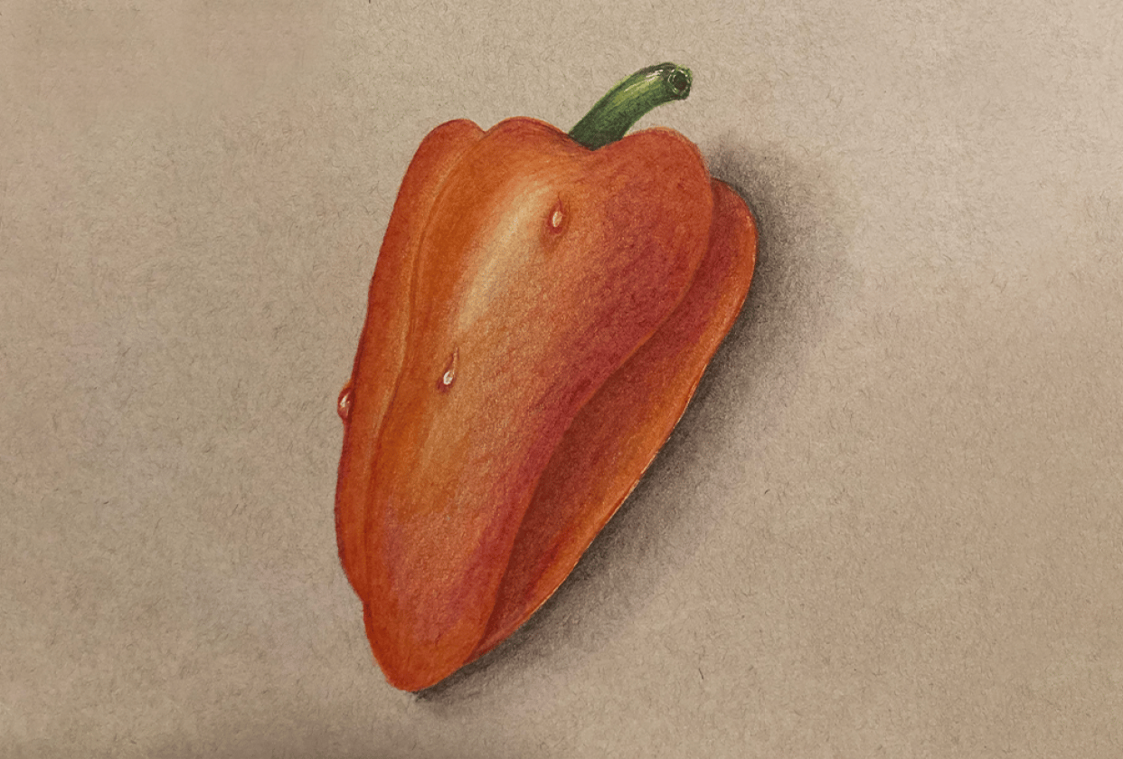 Realistic Pepper - Color Pencil | Skillshare Student Project