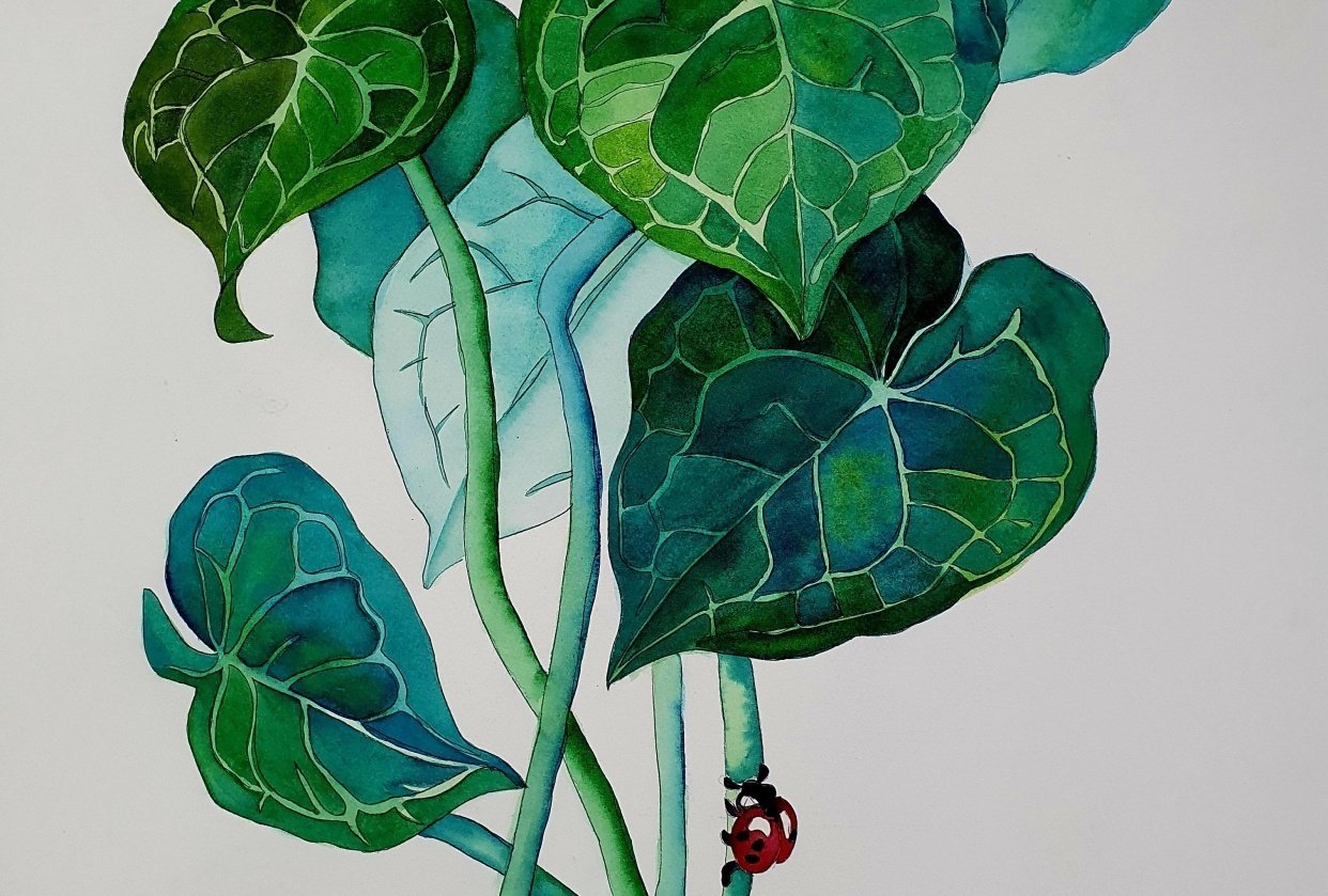 Absolutely loved doing this Anna . Mine on A1 size paper. | Skillshare ...