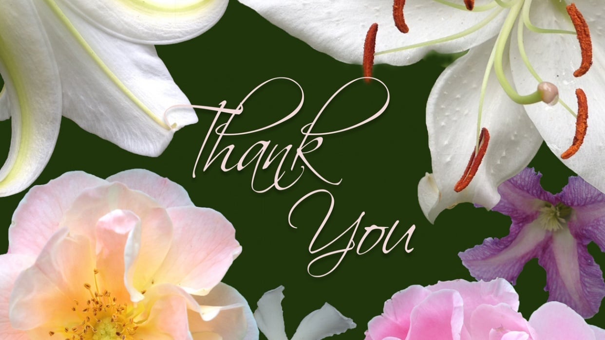 July Flower Poster | Skillshare Student Project